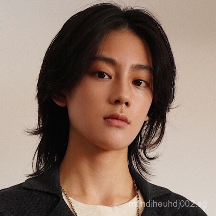 Takuya Kimura Same Style Wolf Tail Wig Men's Handsome Long Hair Age ...