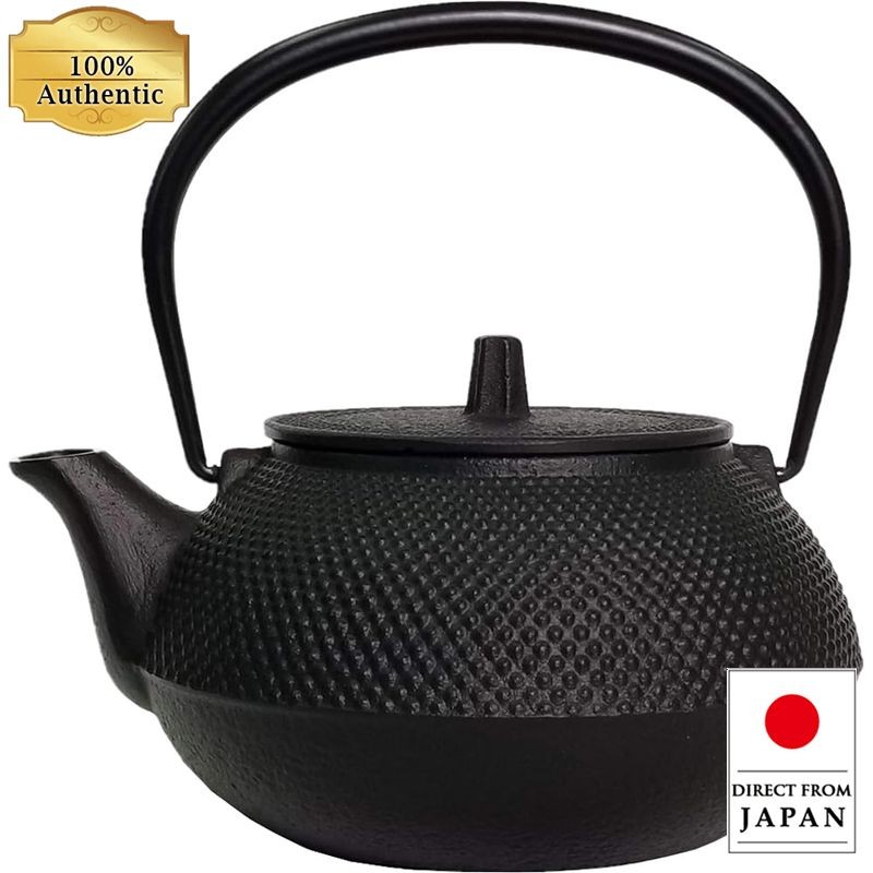 Iwachu Cast Iron Teapot and Kettle【direct from Japan】 | Shopee Singapore