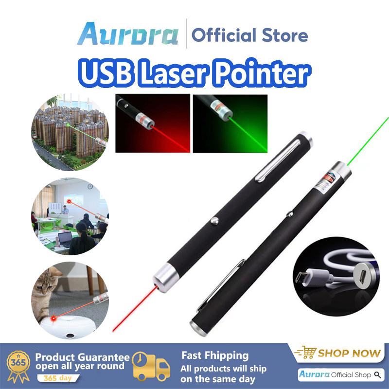 SG Stock Laser Pointer USB Charging Long Distance High Power Outdoor ...