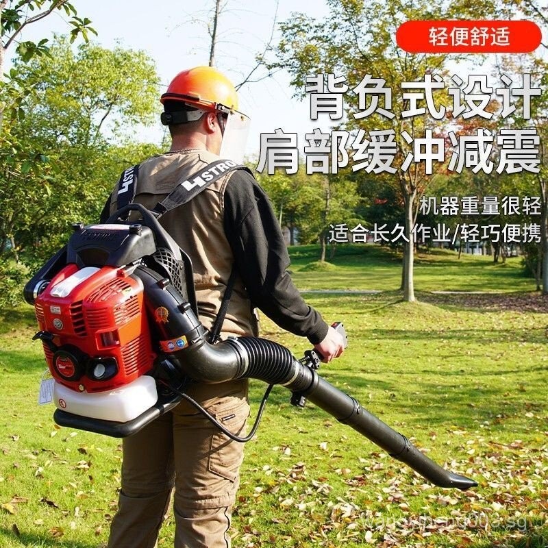 Dawa Gasoline Air Blower Wind Blower Backpack Machine Snow Blower Leaf ...