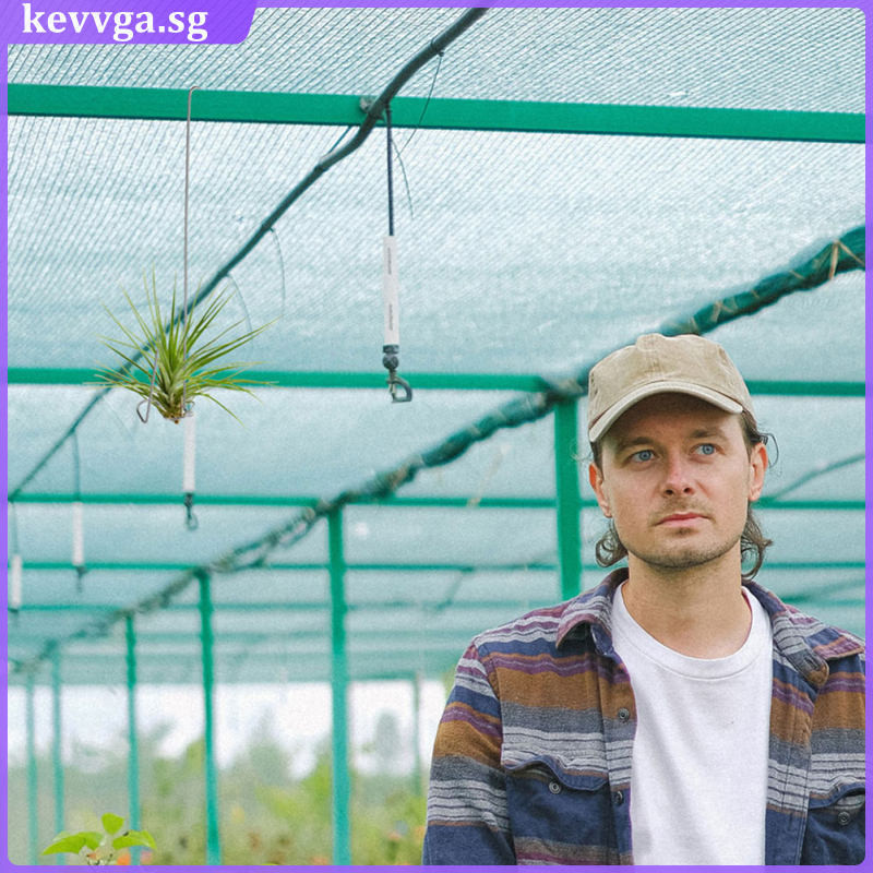 5pcs Air Plant Planter Hook Wall Wire Hanger Rack Plants Display ...