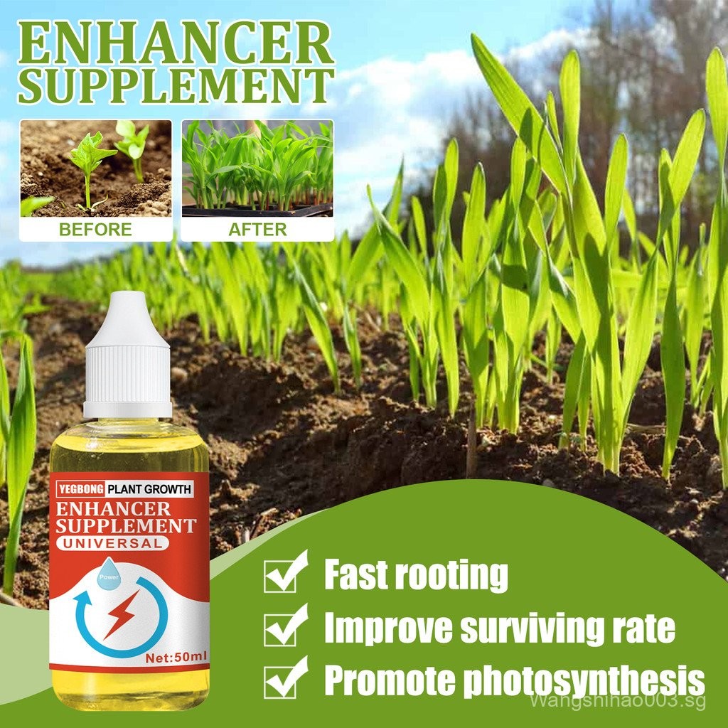 Yegbong Plant Growth Nutrient Agent Flower Plant Concentrated Promote ...