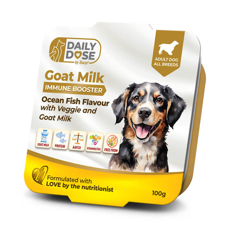 Burp Daily Dose By Burp Ocean Fish With Veggie And Goat Milk Dog Wet ...