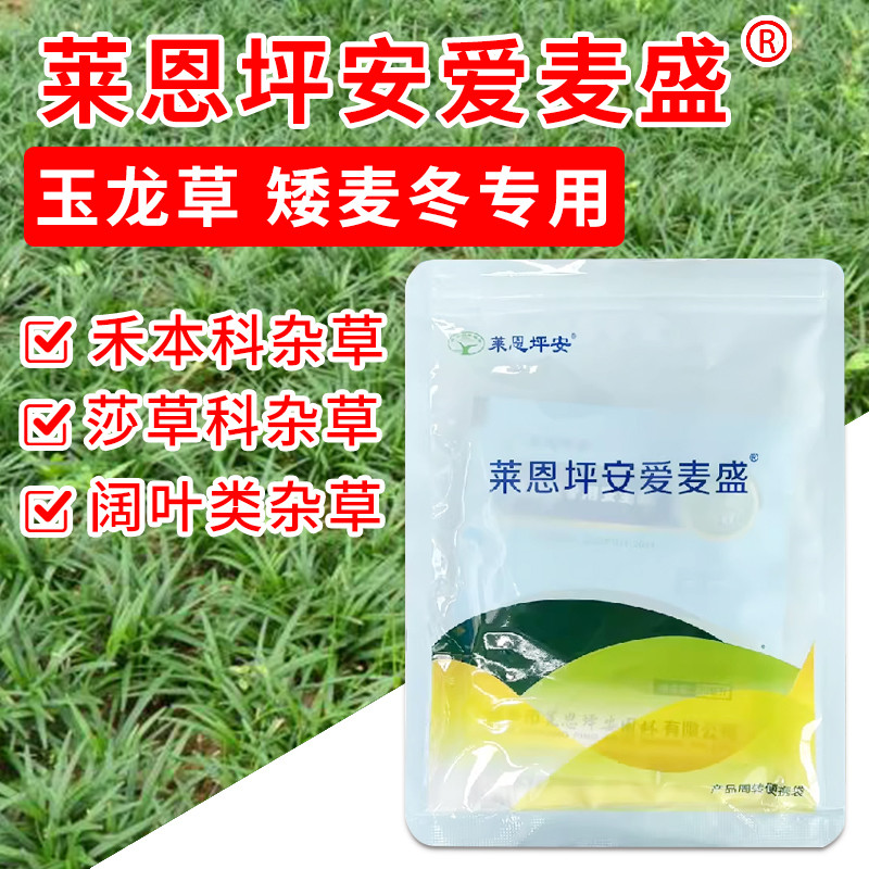 Ping An Ai Mai Sheng Dwarf Ophiopogon Japonicus Dragon Grass Iris Lawn ...