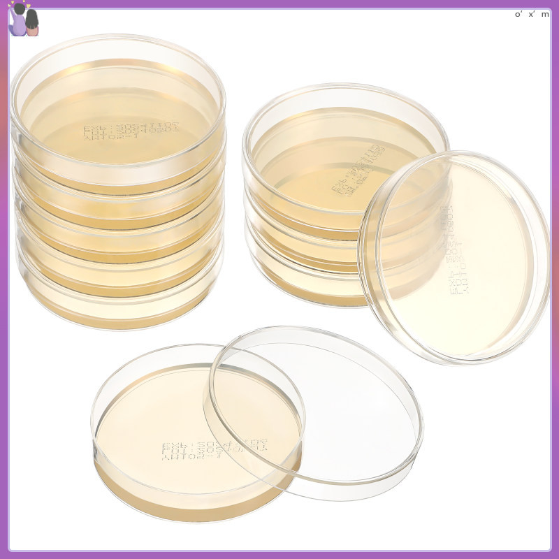🍽️ 10Pcs Clear Round Agar Plates 7Cm Diameter for STEM Learning ...