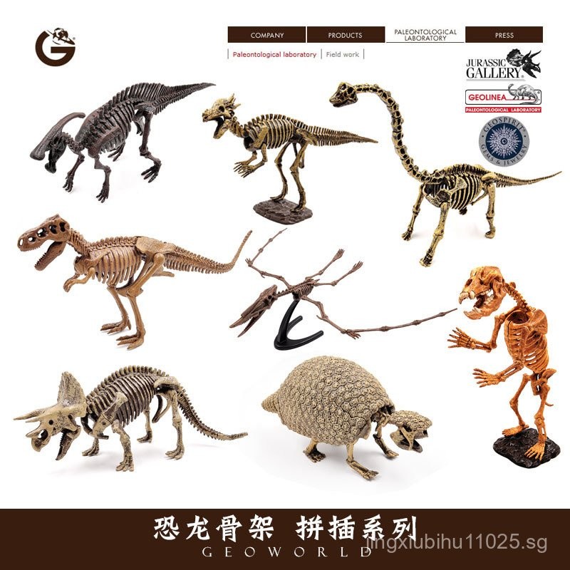 GEOWORLD Genuine Bulk Simulation Animal Assembled Dinosaur Skeleton ...