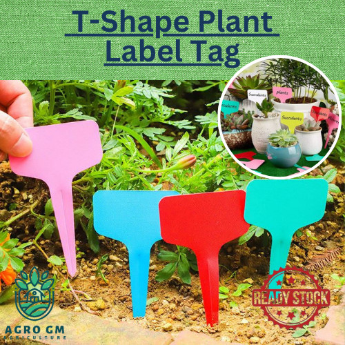 100PCS Plant Label Tag 6x10cm Garden Plant Flower Label Tag Nursery T ...