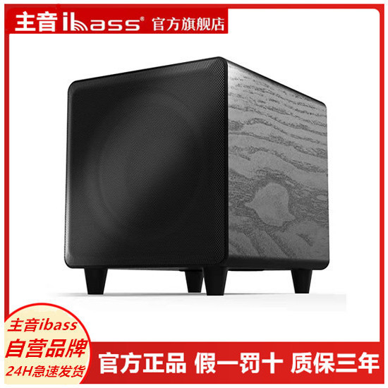 Lead Singer ibass10inch Overweight Active Subwoofer Sounderbar Computer ...