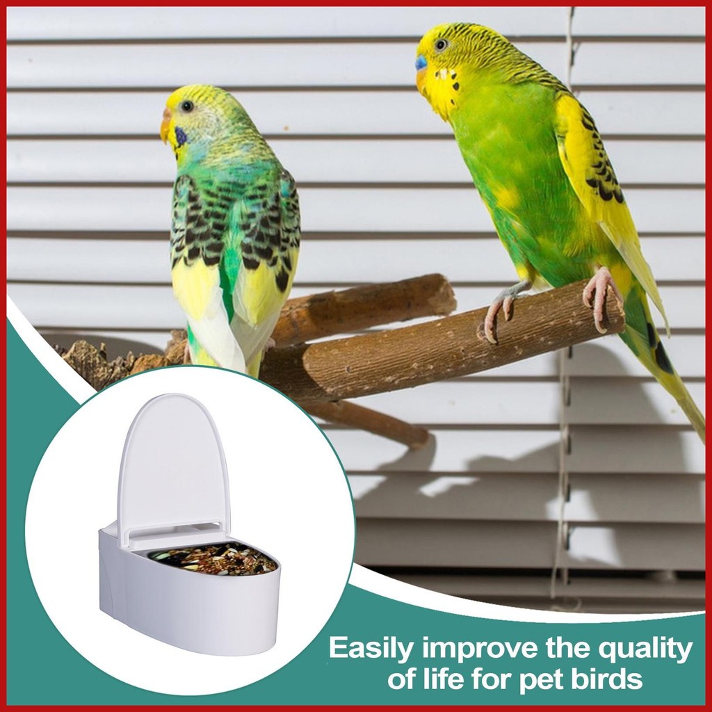Bird Potty Training Tool Bird Potty Training Tool Wall Toilet Small ...