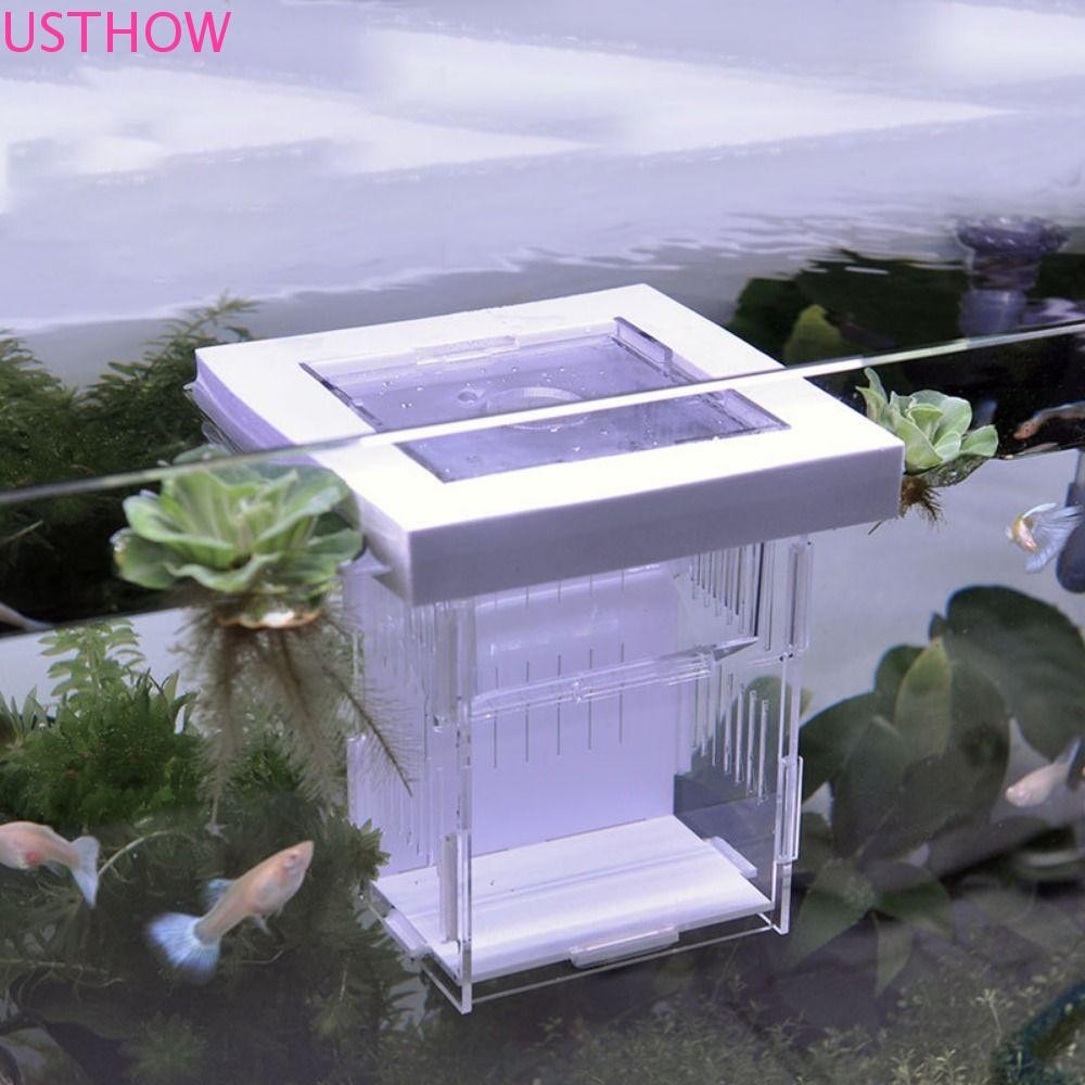 USTHOW Fish Isolation Box, Acrylic Detachable Floating Hatching Box ...