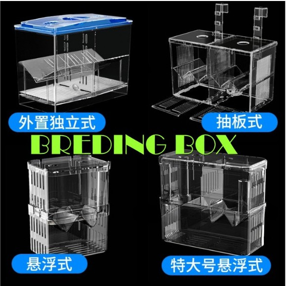Breeding box Guppy fish tank betta tank isolation box extra large BREEDING BOX | Shopee Singapore