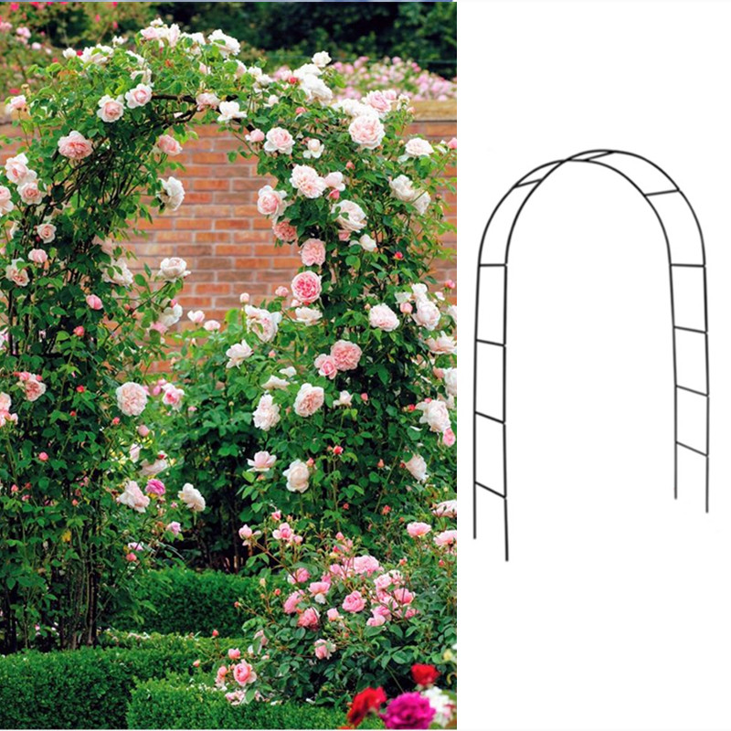 Clematis Rose Arch Trellis Climbing Frame Green Plant Support Pole ...