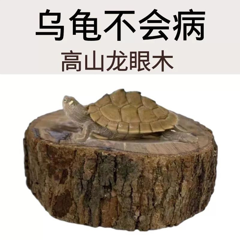 Turtle landscaping Micro-scenery Micro-scenery for turtle tank ...