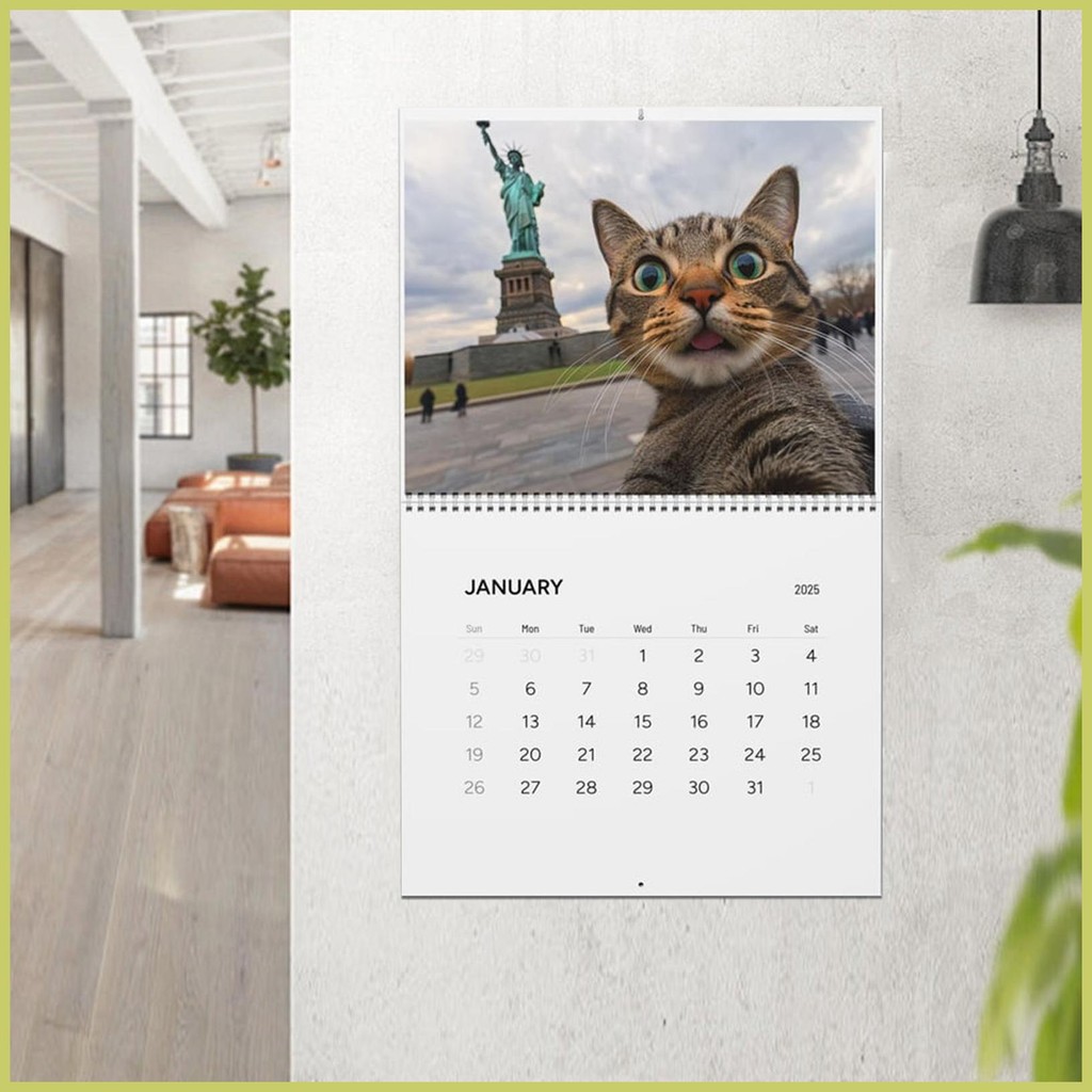 Cat Calendar 2025 Wall Monthly Wall Calendar Spiral Bound 11x8.5inch ...