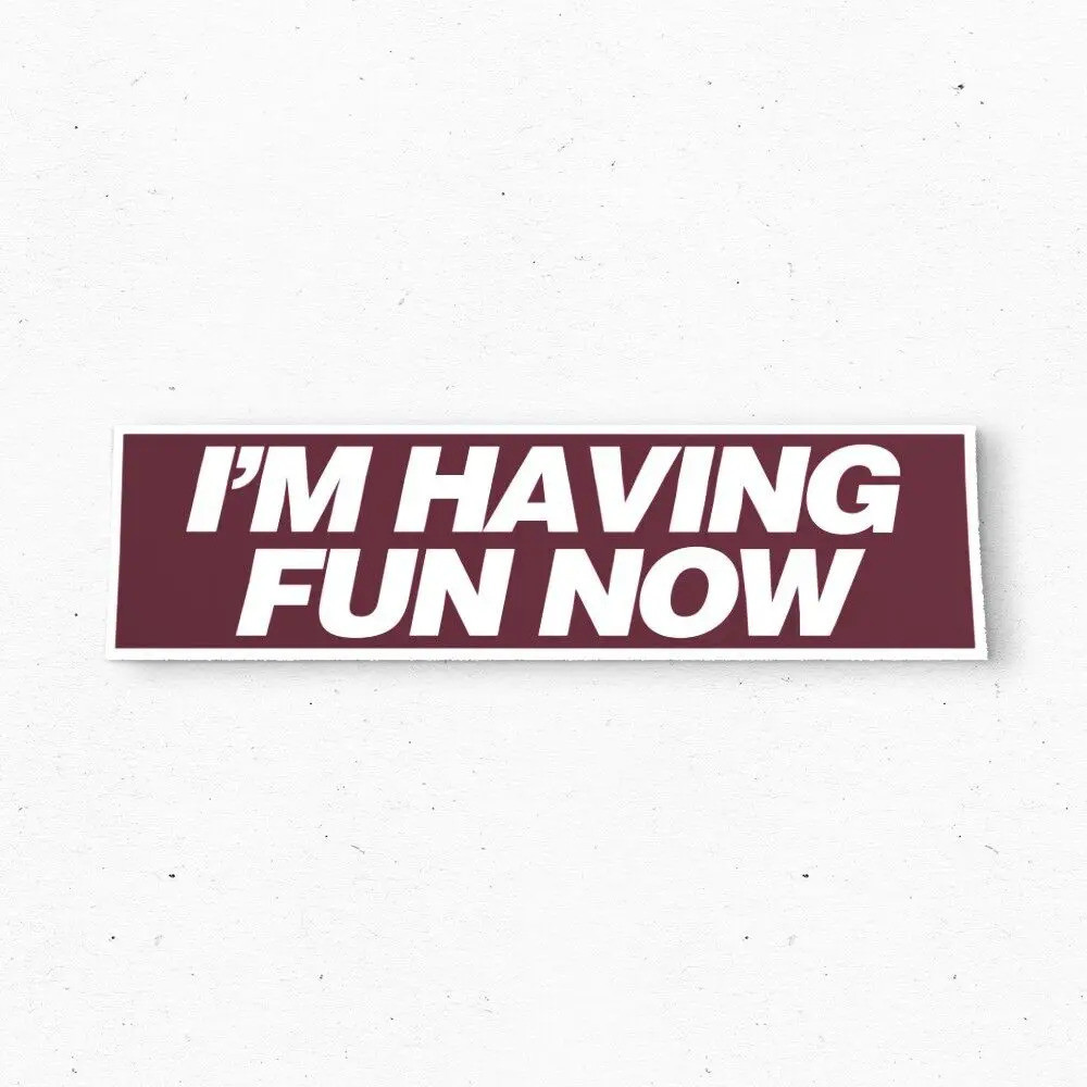 I'M HAVING FUN NOW Bumper Sticker - Funny Vintage Style - Vinyl Decal ...