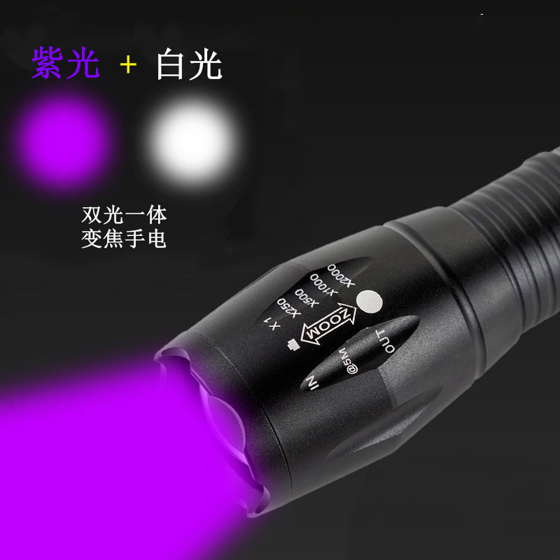 torchlight Detection lamp: flashlight, fluorescent, LED flashlight ...