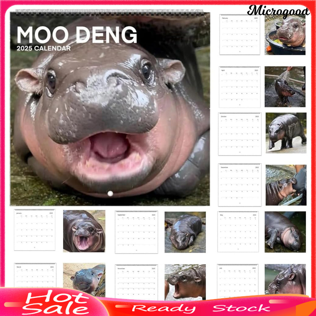 [MIC]☃Moo Deng Hippo 2025 Calendar 12-Month Pygmy Hippo Wall Calendar ...