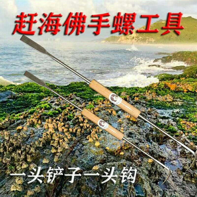 Ganhai Japanese Goose Barnacle Rattan Pot Mussel Sea Rainbow Abalone ...