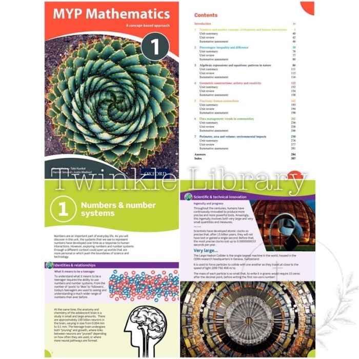 MYP Mathematics Year 1 / 2 / 3 / 4 & 5 (Standard & Extended) A concept ...