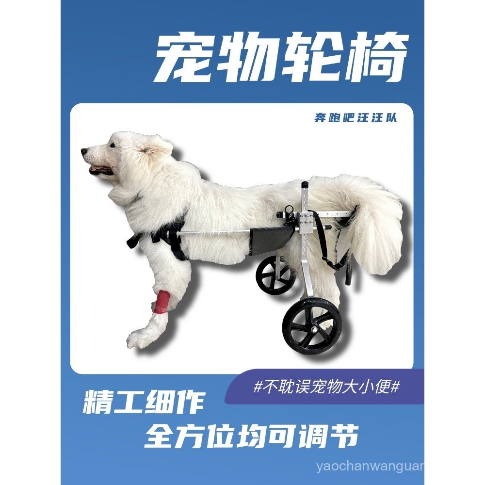 Paralyzed Dog Assisted Defecation Wheelchair for Medium and Large Dogs ...