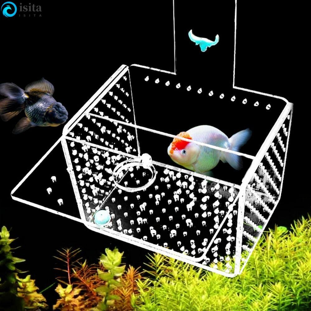 ISITA Fish Tank Isolation Box, Acylic Wall Mount Fish Breeding Box ...