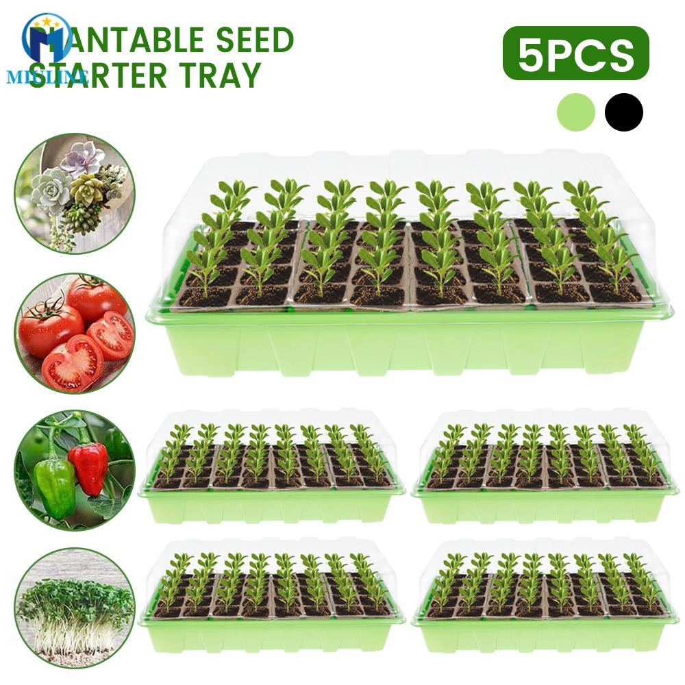 Nursery Box Seed Starter Growing Trays Kits Plants Flowers Seedling Box ...