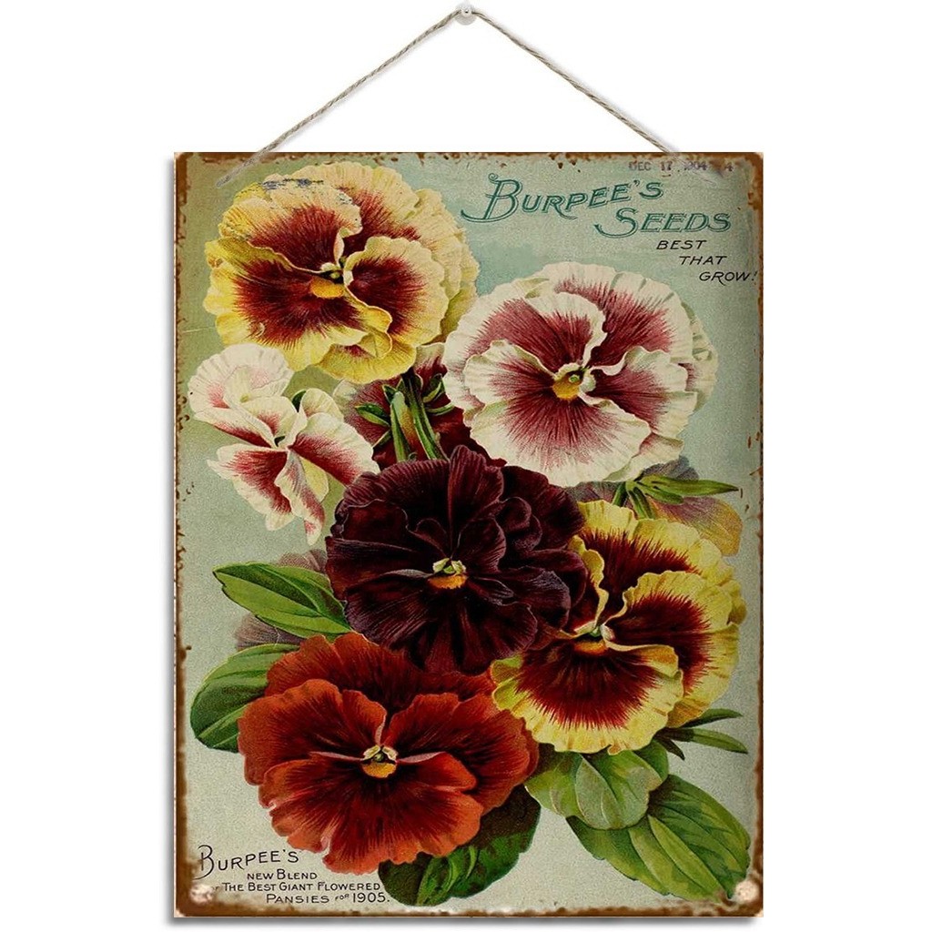Vintage Pansy Flower Wood or Acrylic Sign, Seed Packet Sign, 8x12 Inch ...