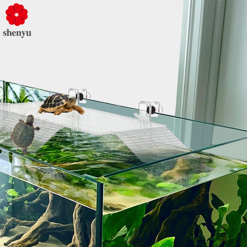 Turtle Basking Platform Acrylic Turtle Dock Basking Platform Height ...