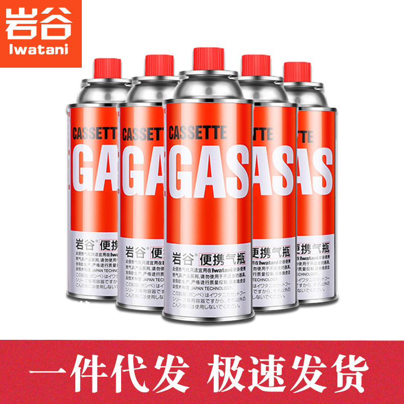 Iwatani Outdoor Portable Cassette Stove Explosion-Proof Gas Canister ...
