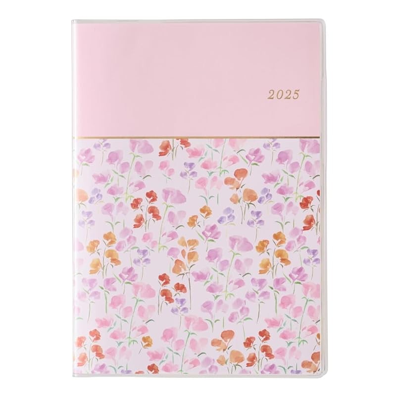 2025 B6 Monthly Aida Notepad Pink 2646 (starts in November 2024) by ...