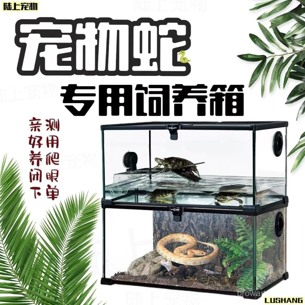 Pet Climbing Feeding Box Pet Snake Special Glass Cylinder Corn Snake ...