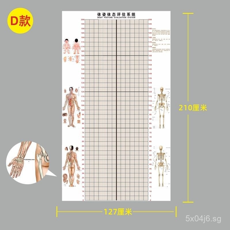 Posture Evaluation Table Wall Sticker Gym Physical Test Grid Paper Yoga ...