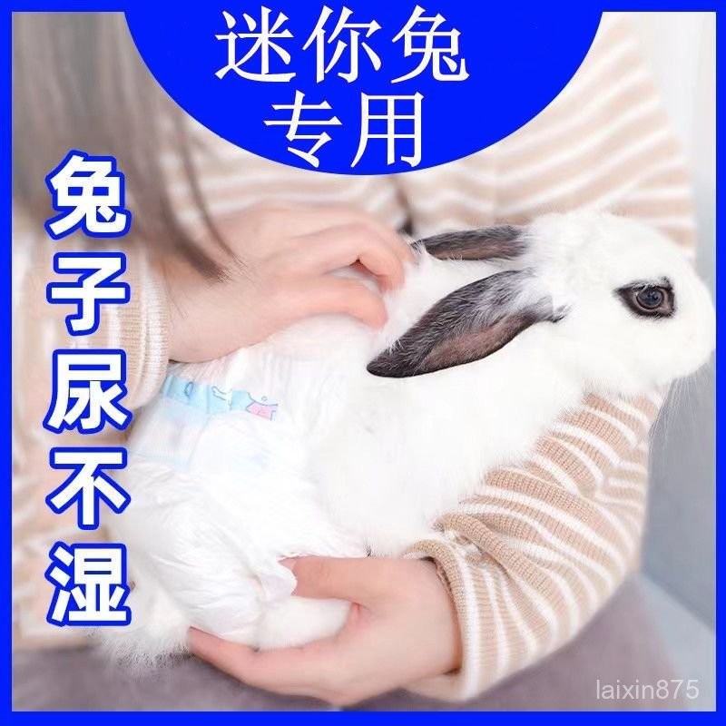 Rabbit Baby Diapers Wear Diapers Rabbit Special Diapers for Small Pets ...