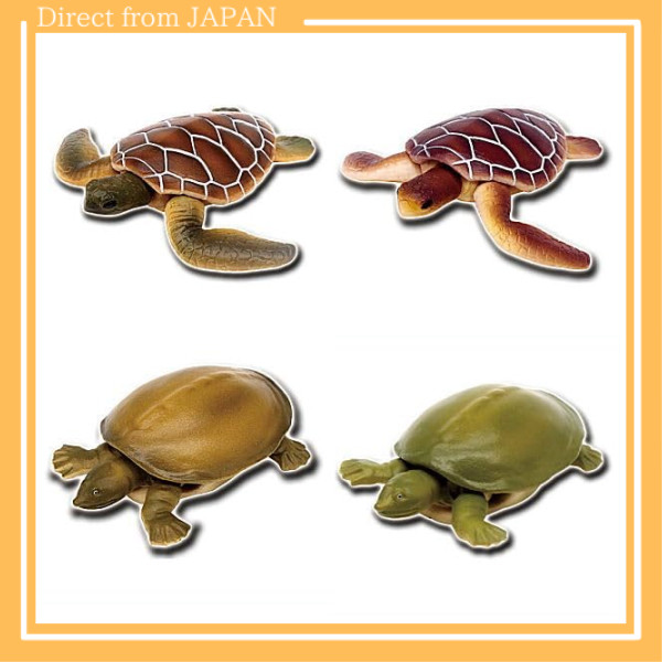 Playable Biological Figure Series Turtles of the World 1 [Assorted 4 ...