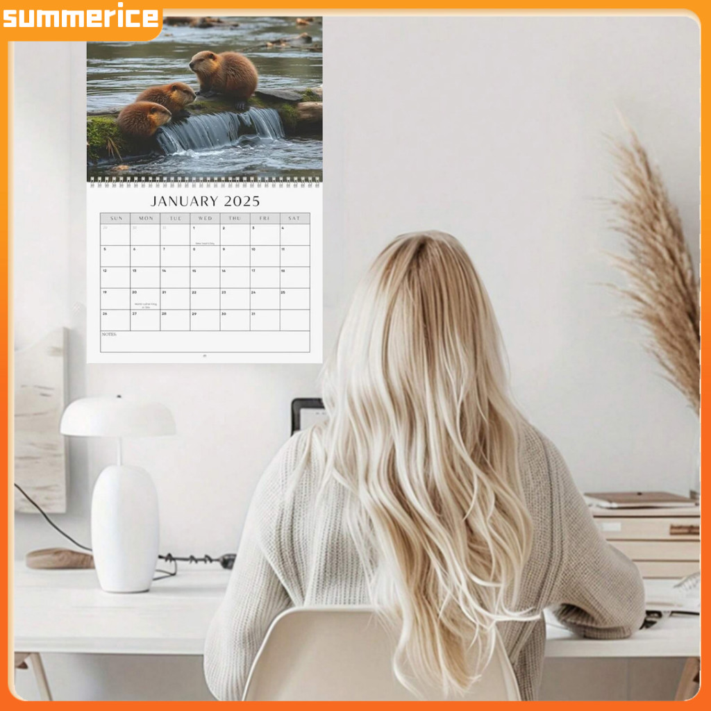 2025 Calendar with Clear Graphics Clear Dates Wall Calendar 2025 2025 ...