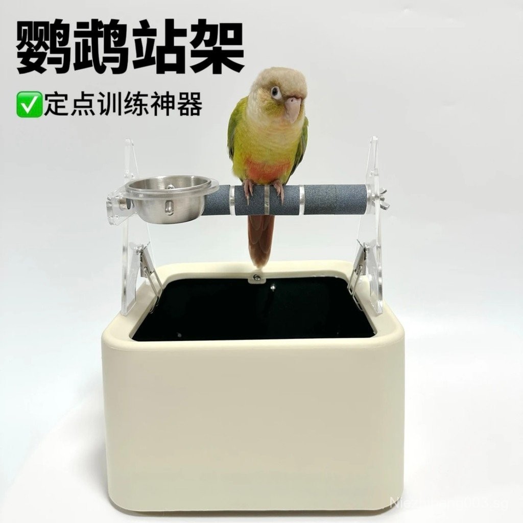 Parrot Poop Waste Bin Cockatiel Budgerigar Sun Parrot Toilet Pooping ...