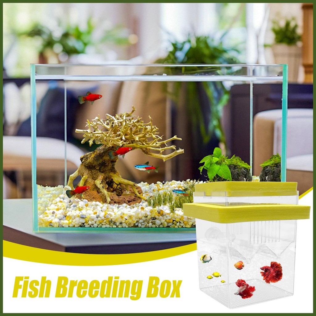 Fish Breeding Box Floating Fish Hatchery Incubator Tank With Suction ...