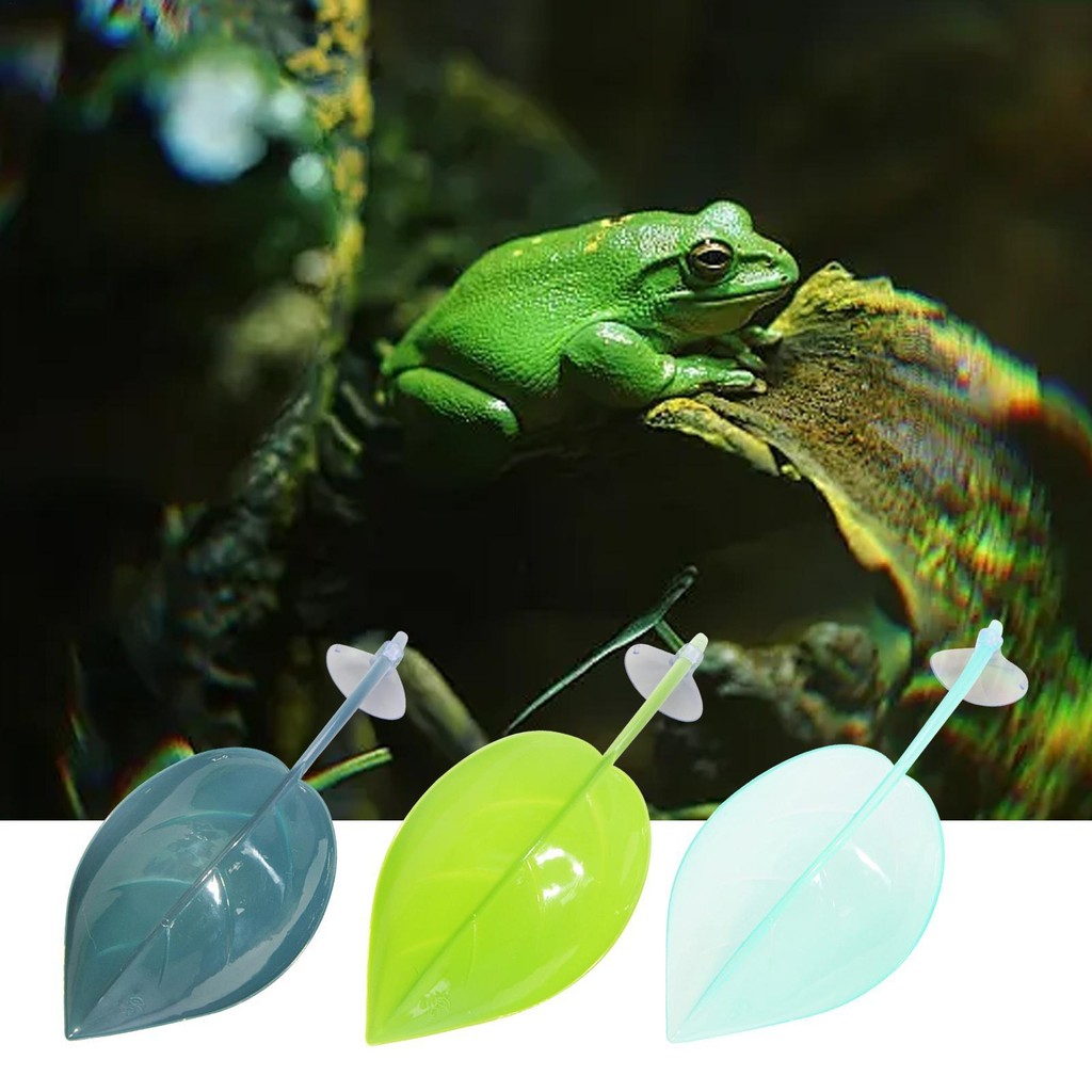 Reptile Basking Area Climbing Terrace Suction Cups Tank Accessories for ...