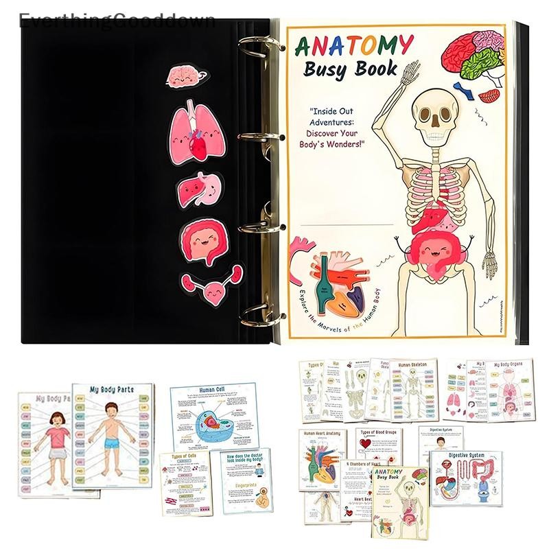 ever Human Anatomy Busy Book Human Organ Match Preschool Interactive ...