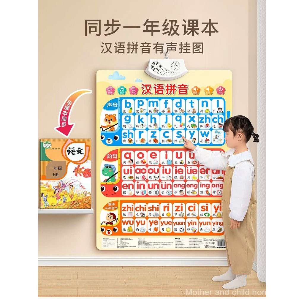 sg The Chinese Phonetic Alphabet Wall Sticker Spelling Training Audio ...