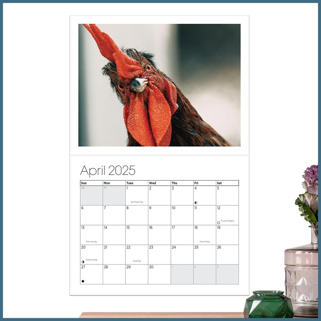 Rooster Calendar 2025 8x11 Inch Rooster Monthly Calendar Chicken ...