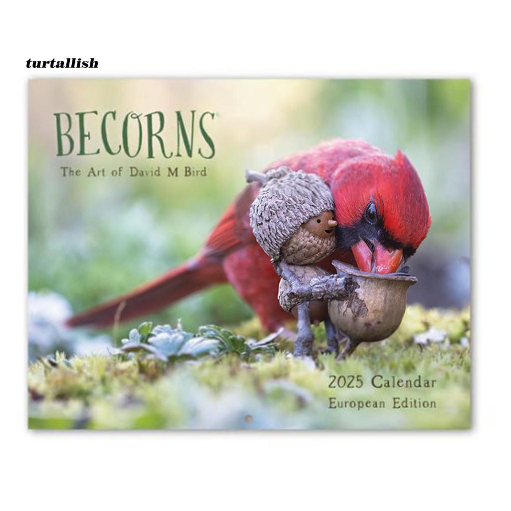 TURT 2025 Birds Wall Calendar Illustrated Calendar 2025 Forest Animals ...
