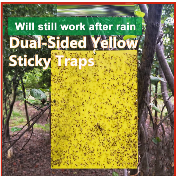 Double Sided Sticky Fly Board Insect Traps Pest Killer Fly Orchard ...
