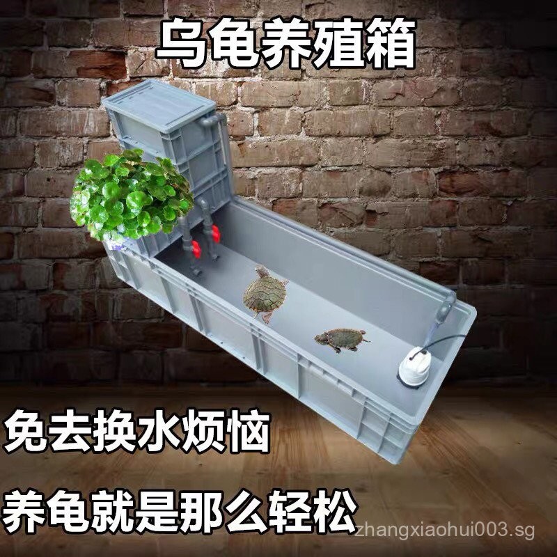 Turtle Tank Turble Box Fish Farming Non-Airtight Crate Hydroponic Swamp ...