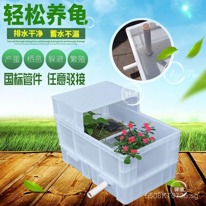 Drainage Turtle Tank Mixed Breeding Brazilian Turtle Basin Aquatic Land ...