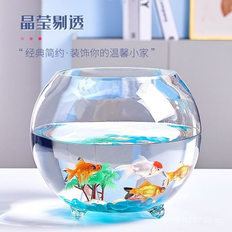 Round Thickened Desktop Goldfish Tank Hydroponic Plant Turtle Tank ...