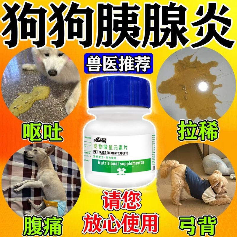 Dog Medicine Pancreas Inflammation Pets Cat Vomiting Stomach Regulation ...