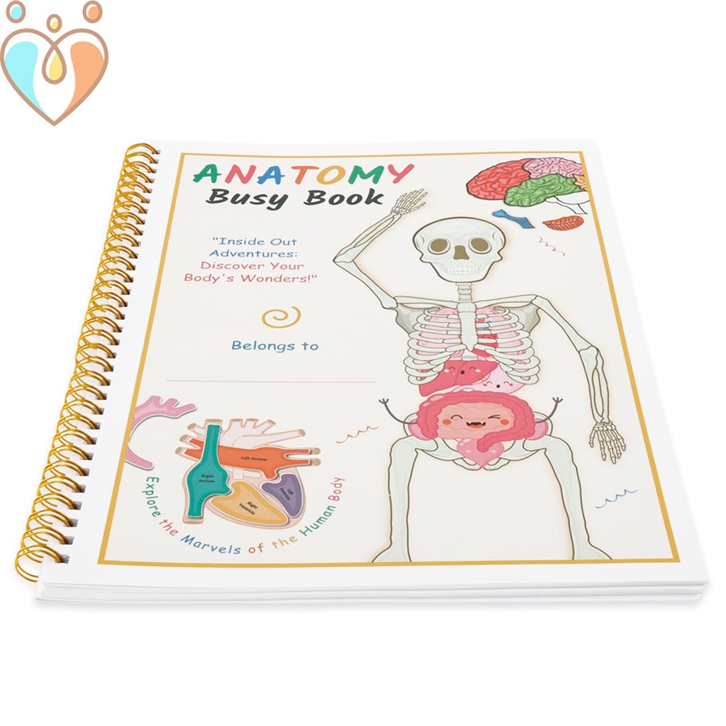 Human Anatomy Quiet Book Human Organ Match Quiet Book Preschool ...