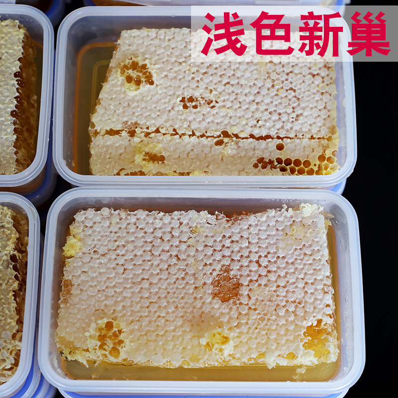 Wild Honeycomb Honey Whole Piece Chews to Eat Ancient Tree Cave Baihua ...