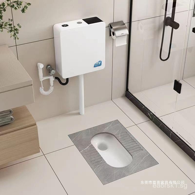 Stone Plate Household Toilet Toilet a Complete Set of Toilet Potty ...